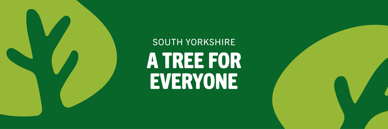 South Yorkshire Mayoral Combined Authority - South Yorkshire MCA