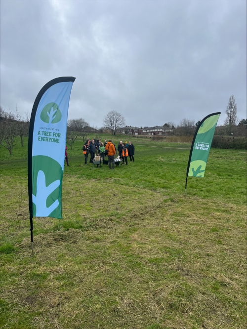 Mayor’s Tree Planting Project - South Yorkshire MCA